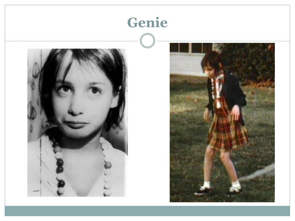 PPT - Genie PowerPoint Presentation, free download - ID:2605101