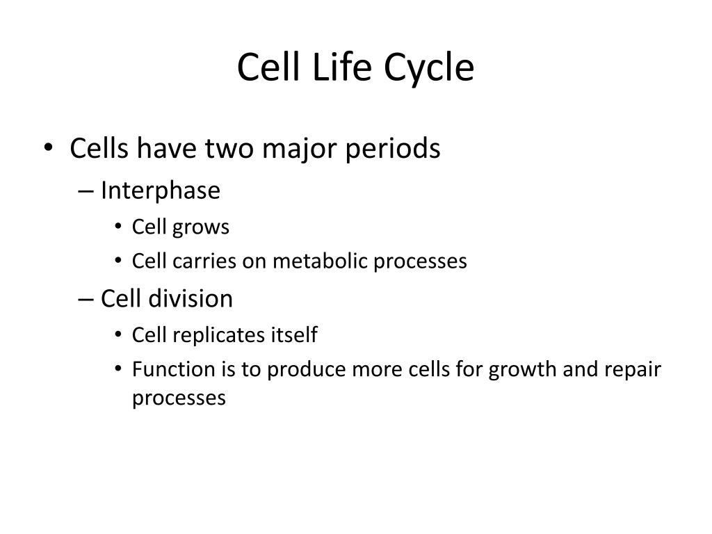 PPT - Cell Life Cycle PowerPoint Presentation, free download - ID:2605105