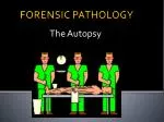 PPT - Forensic Pathology PowerPoint Presentation, free download - ID ...