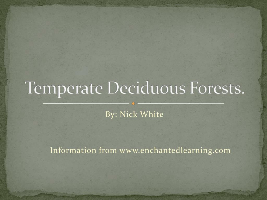 PPT - Temperate Deciduous Forests. PowerPoint Presentation, free ...
