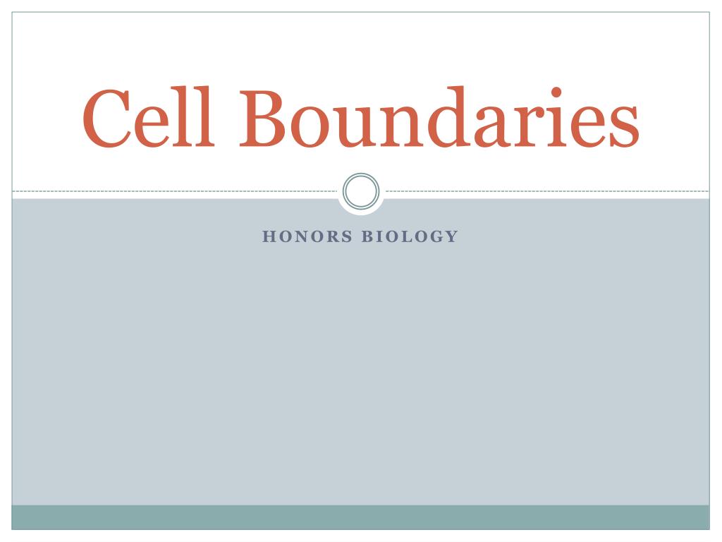 PPT - Cell Boundaries PowerPoint Presentation, free download - ID:2608469