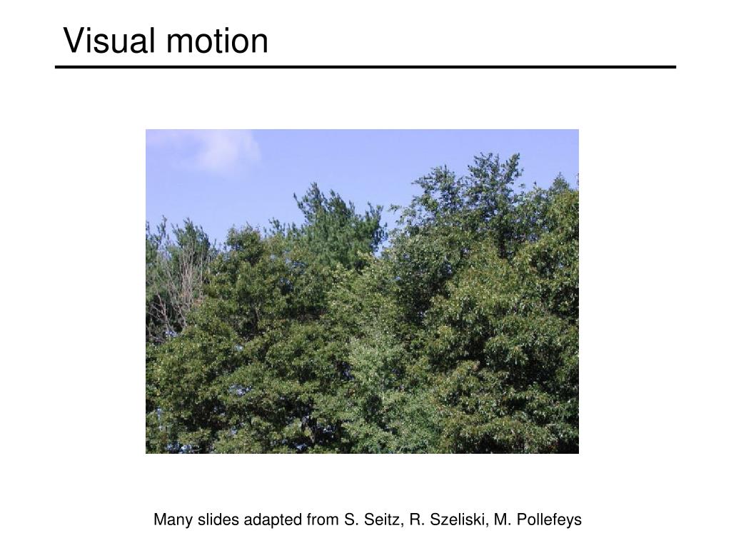 PPT - Visual motion PowerPoint Presentation, free download - ID:2609848