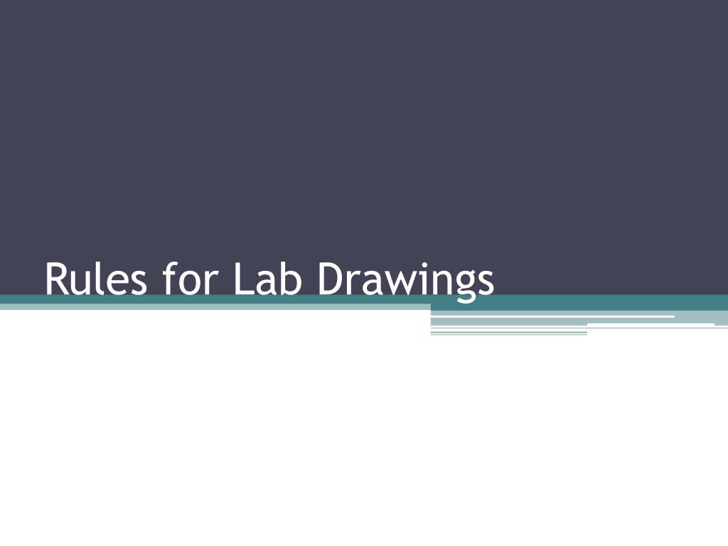 PPT - Rules for Lab Drawings PowerPoint Presentation, free download ...