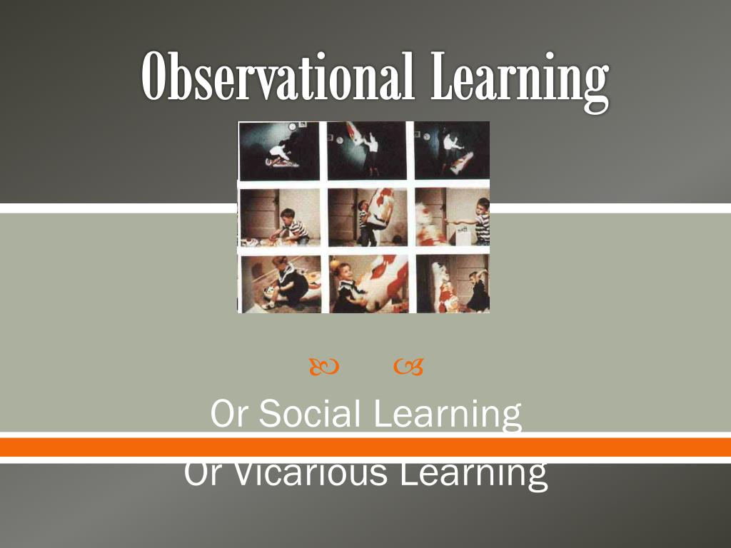 PPT - Observational Learning PowerPoint Presentation, free download ...