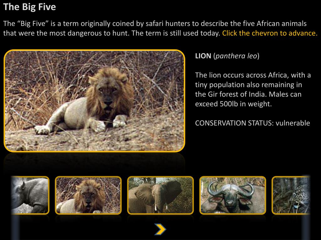 PPT - The Big Five PowerPoint Presentation, free download - ID:2611503