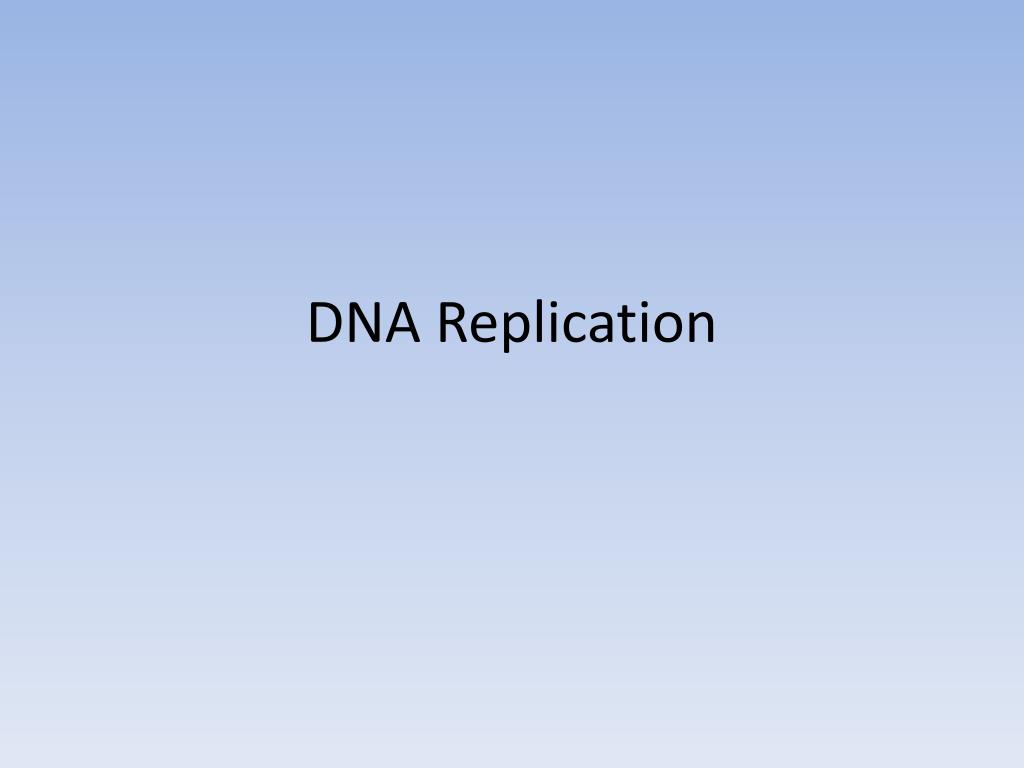 PPT - DNA Replication PowerPoint Presentation, free download - ID:2612634