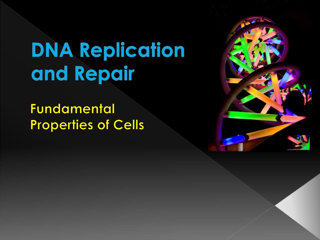PPT - DNA Replication and Repair PowerPoint Presentation, free download ...