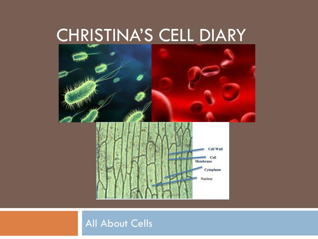 PPT - Christina's Cell Diary: All About Cells Definitions PowerPoint ...
