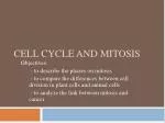 PPT - THE CELL CYCLE and MITOSIS PowerPoint Presentation, free download ...