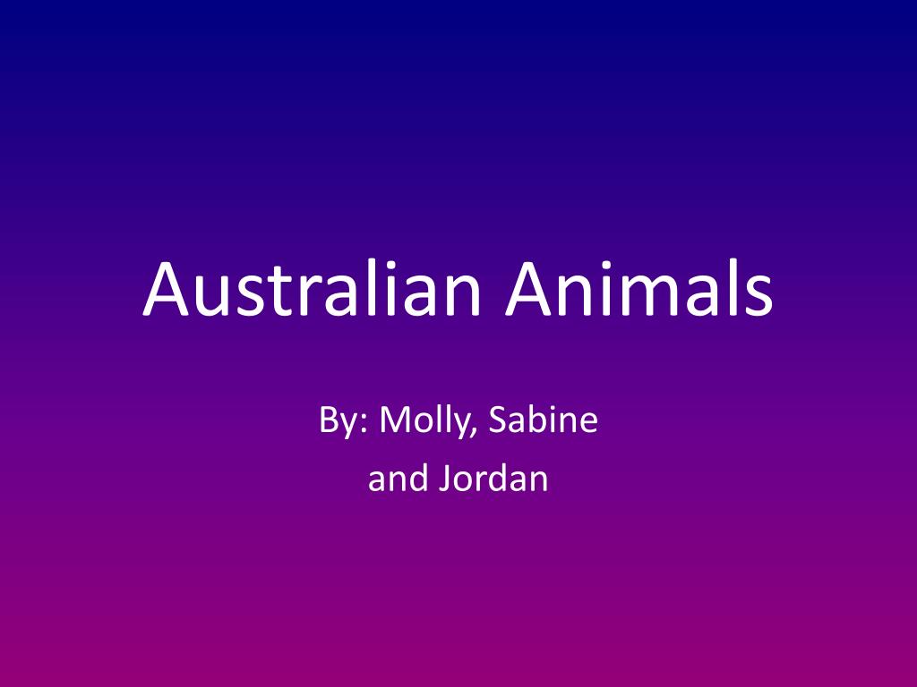 PPT - Australian Animals PowerPoint Presentation, free download - ID ...