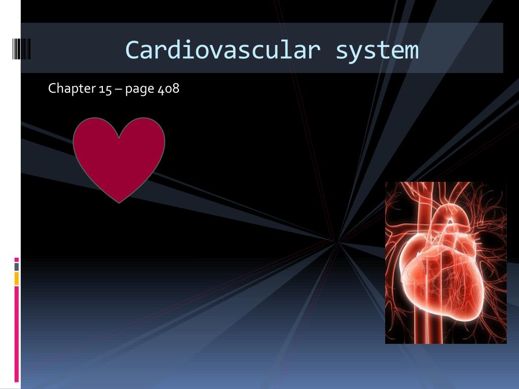 PPT - Cardiovascular system PowerPoint Presentation, free download - ID ...