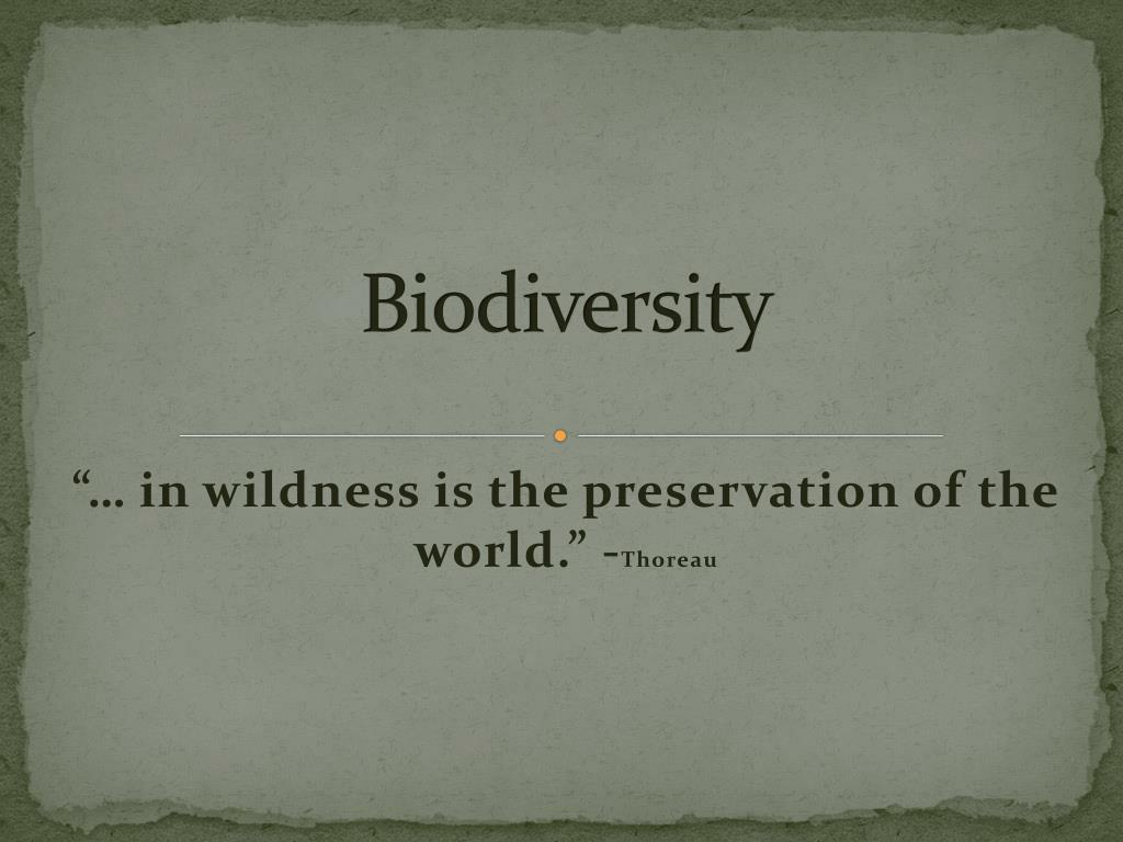 PPT - Biodiversity PowerPoint Presentation, free download - ID:2615556