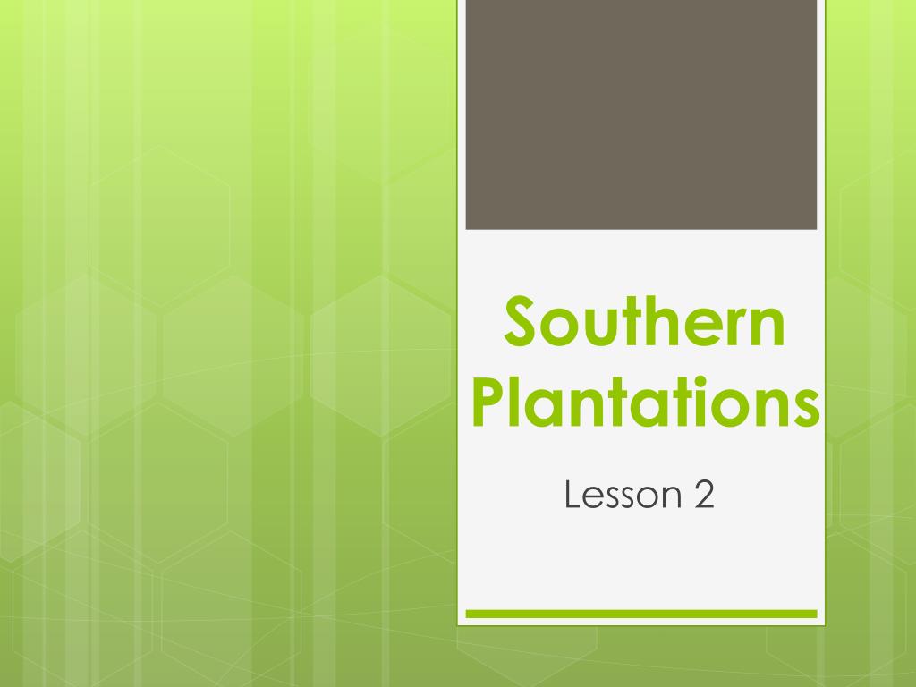 PPT - Southern Plantations PowerPoint Presentation, free download - ID ...