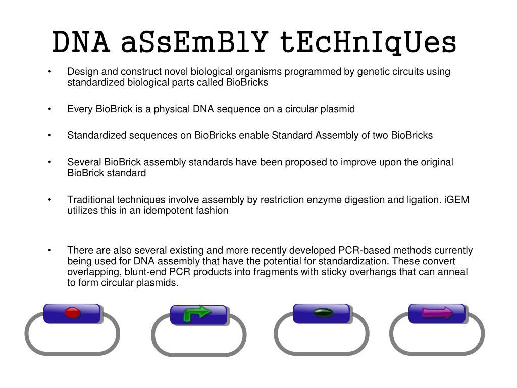 PPT - DNA aSsEmBlY tEcHnIqUes PowerPoint Presentation, free download ...
