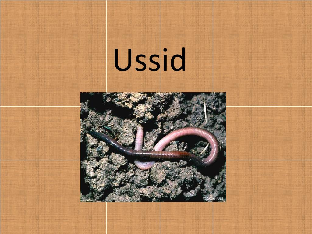 PPT - Ussid PowerPoint Presentation, free download - ID:2618308