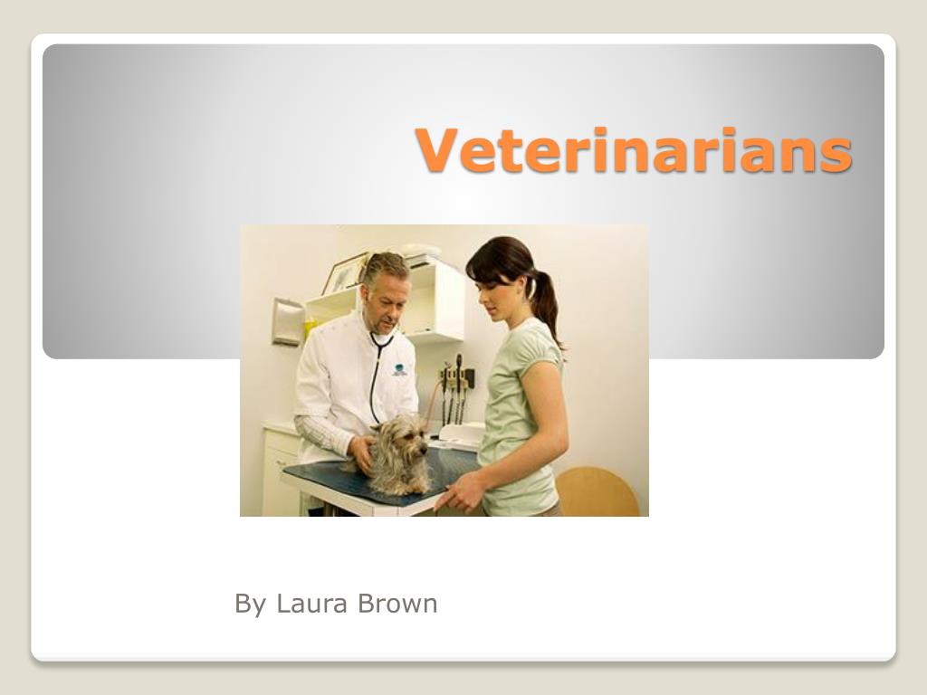 PPT - Veterinarians PowerPoint Presentation, free download - ID:2618474