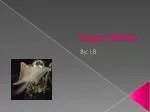 PPT - SUGAR RAY ROBINSON PowerPoint Presentation, free download - ID ...