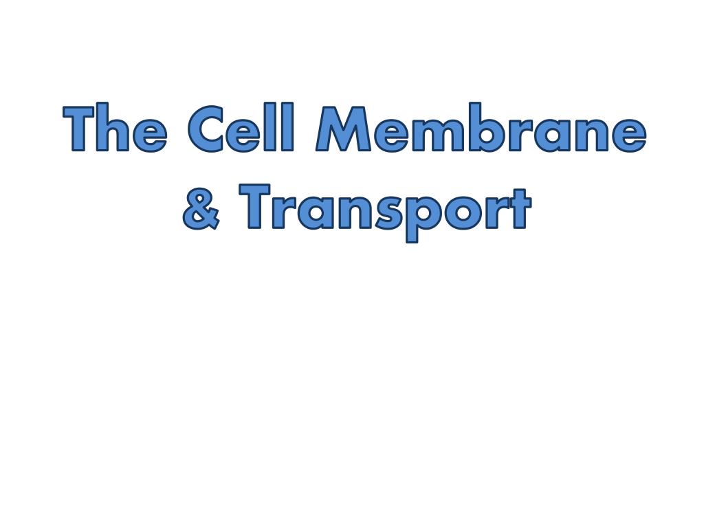 PPT - The Cell Membrane & Transport PowerPoint Presentation, free ...