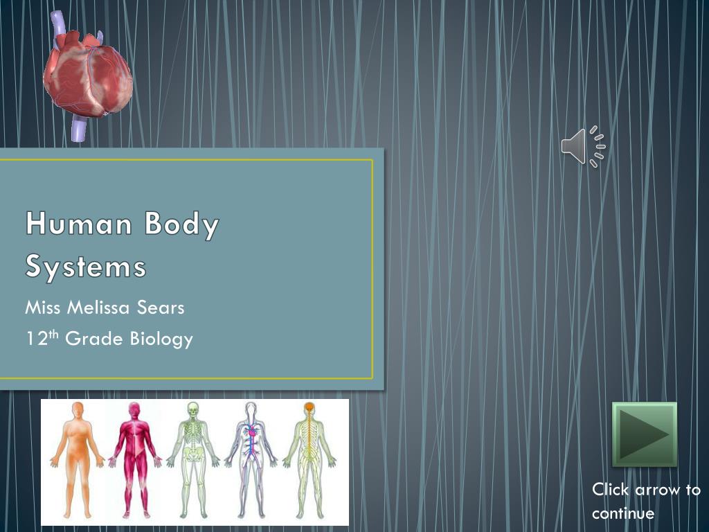 PPT - Human Body Systems PowerPoint Presentation, free download - ID ...