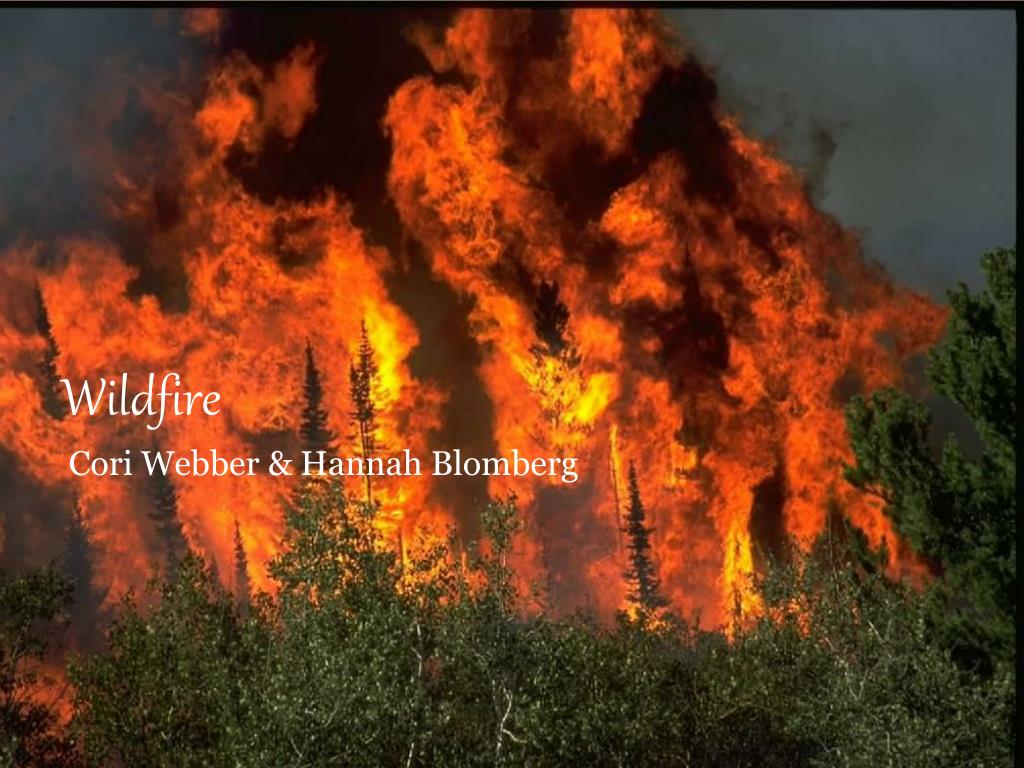 PPT - Wildfire PowerPoint Presentation, free download - ID:2620107