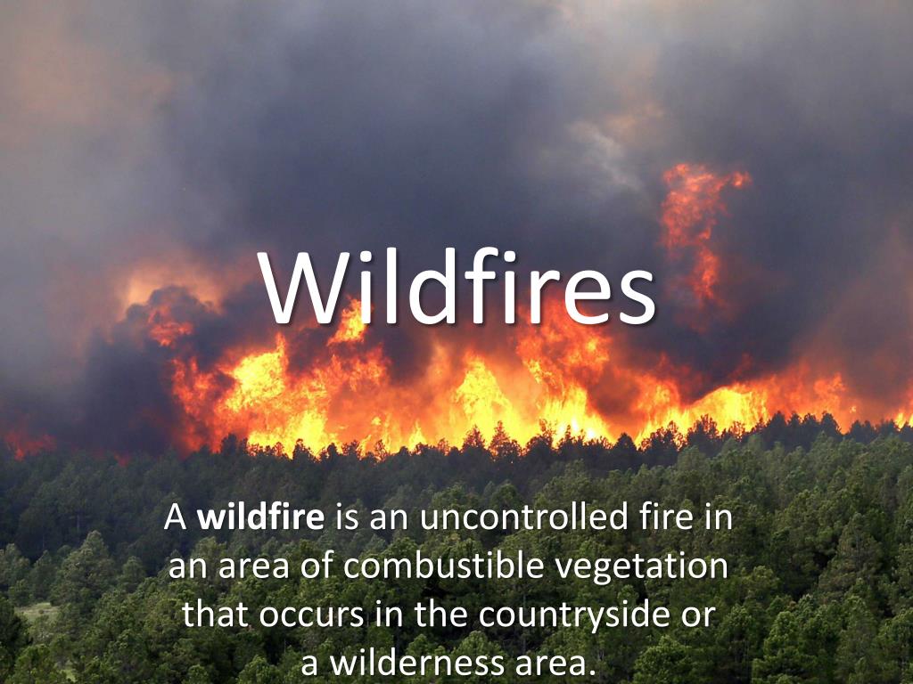 PPT - Wildfires PowerPoint Presentation, free download - ID:2620117