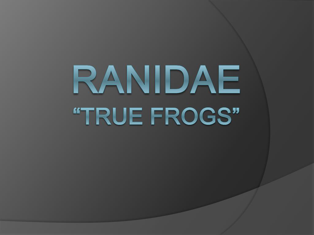 PPT - Ranidae “True Frogs” PowerPoint Presentation, free download - ID ...