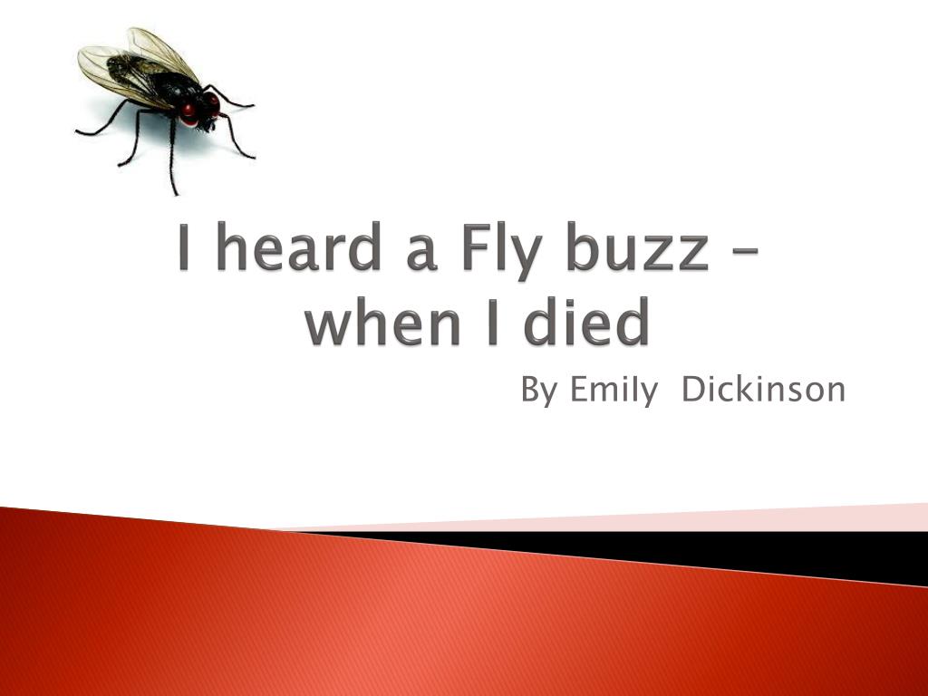 PPT - I heard a Fly buzz – when I died PowerPoint Presentation, free ...