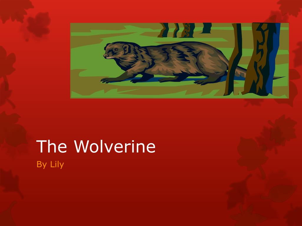 PPT - The Wolverine PowerPoint Presentation, free download - ID:2622008