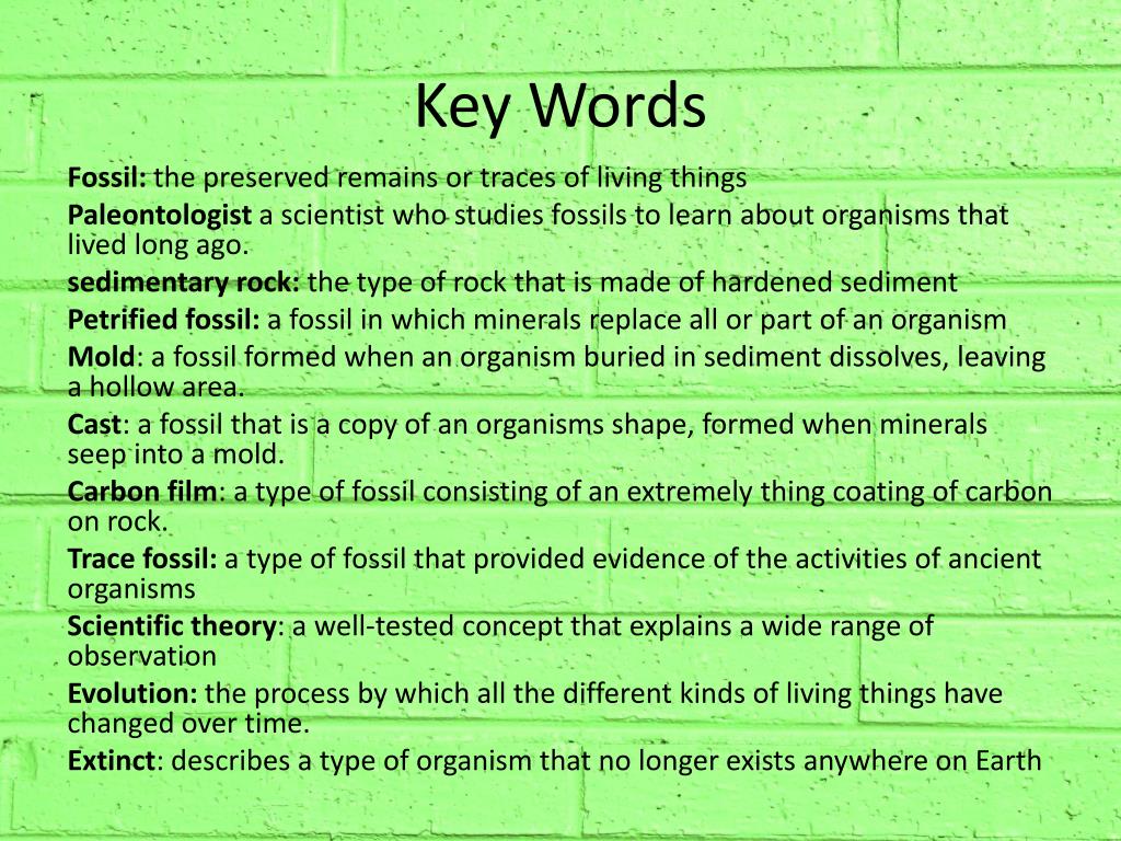 PPT - Key Words PowerPoint Presentation, free download - ID:2623365