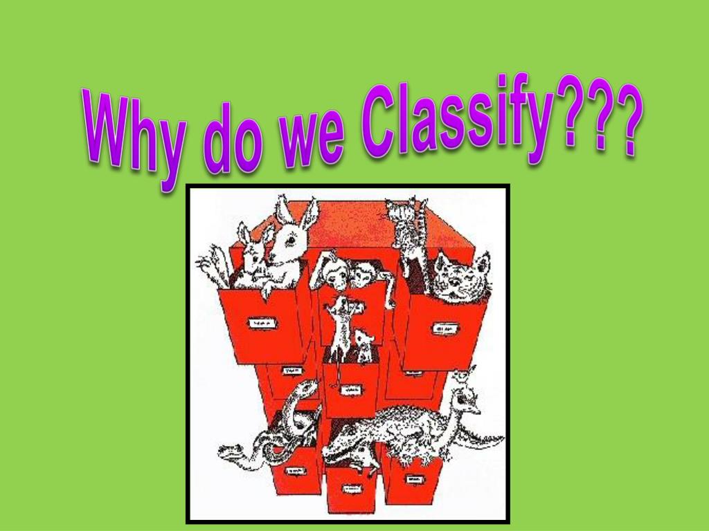 PPT - Why do we Classify??? PowerPoint Presentation, free download - ID ...