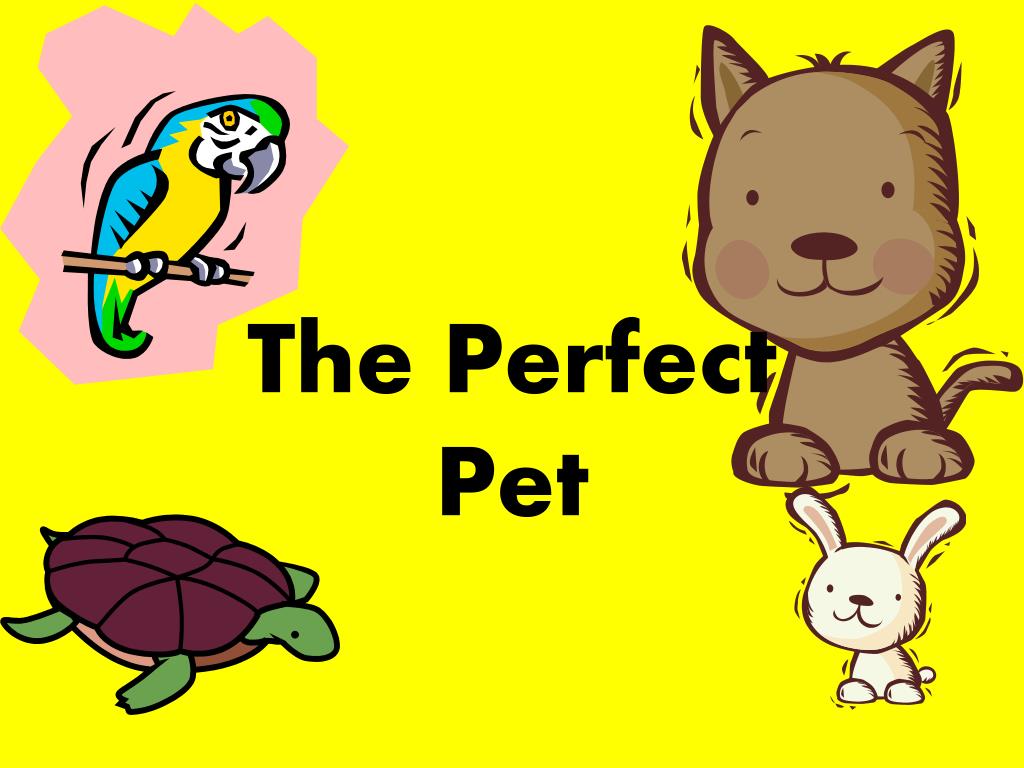 PPT - Discover the Bright Side: Finding the Perfect Pet with Long 'i ...