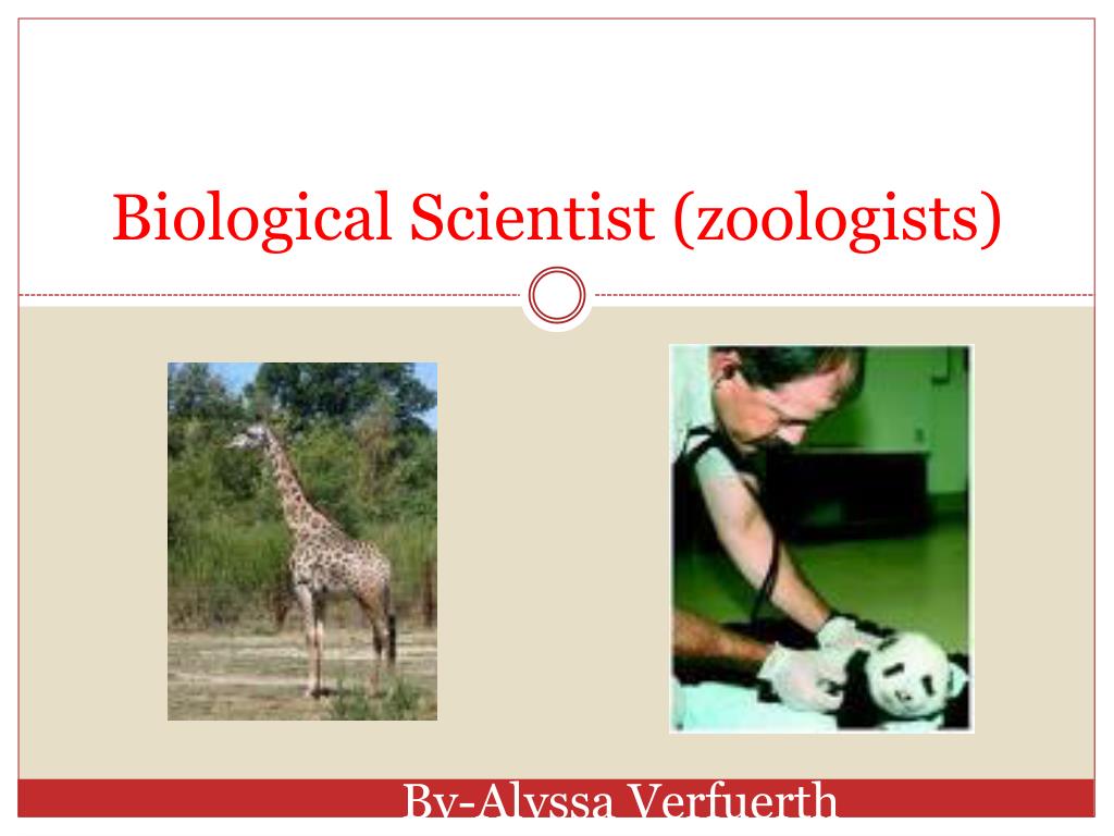 PPT - Exploring a Career as a Zoologist: Passion for Animals and ...