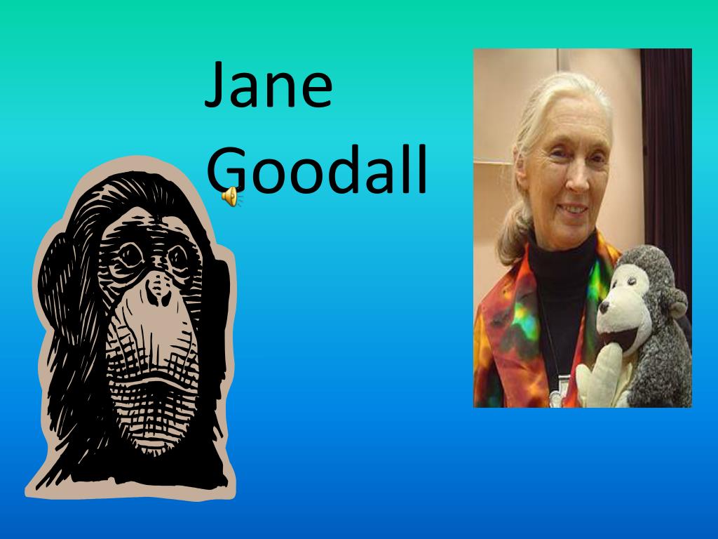PPT - Jane Goodall PowerPoint Presentation, free download - ID:2624019