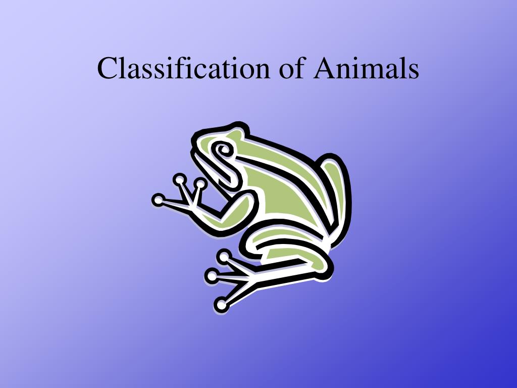 PPT - Classification of Animals PowerPoint Presentation, free download ...