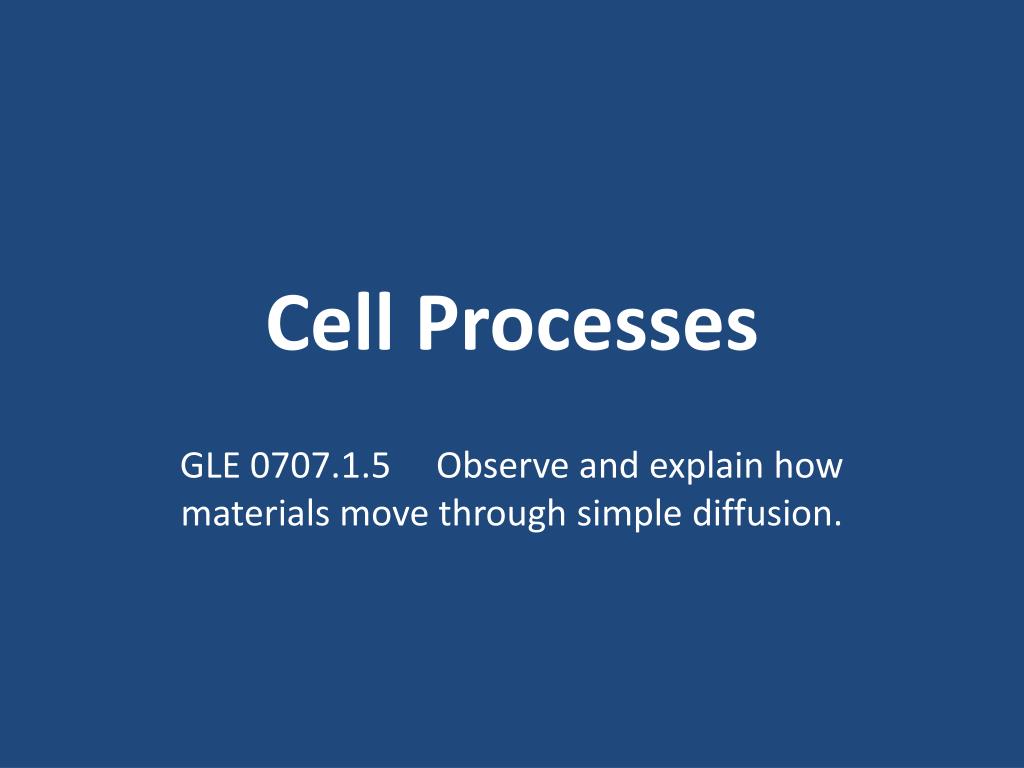 PPT - Cell Processes PowerPoint Presentation, free download - ID:2626386