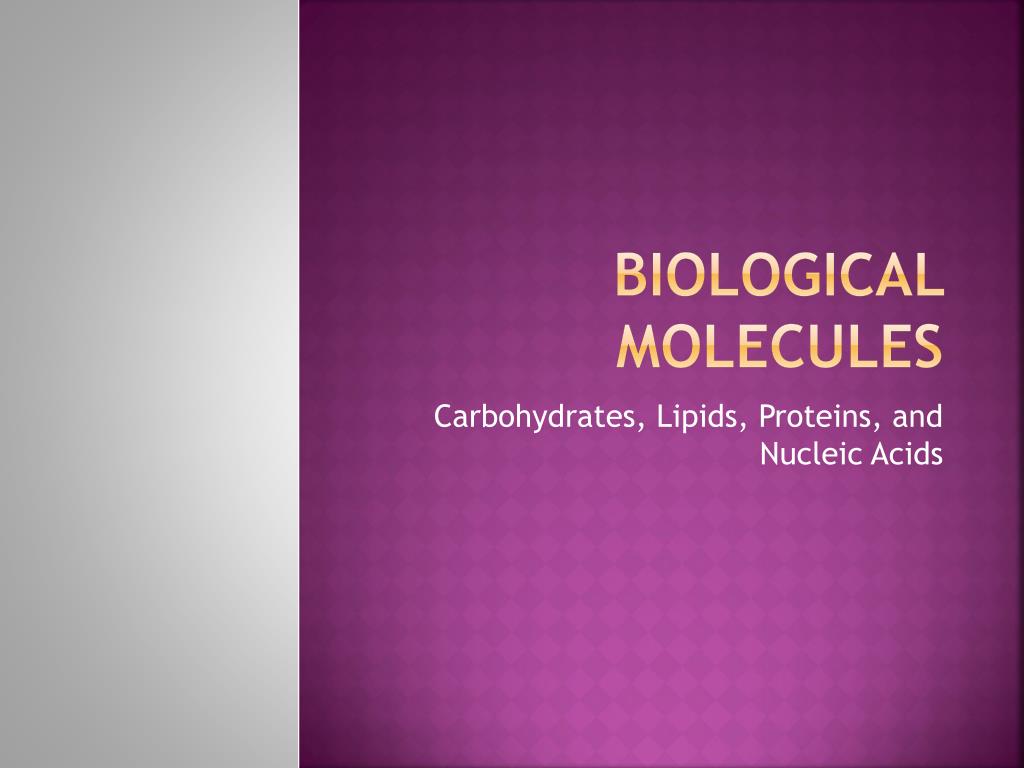 PPT - Biological molecules PowerPoint Presentation, free download - ID ...