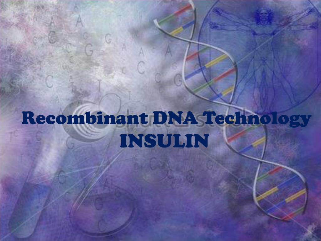 PPT - Recombinant DNA Technology INSULIN PowerPoint Presentation, free ...