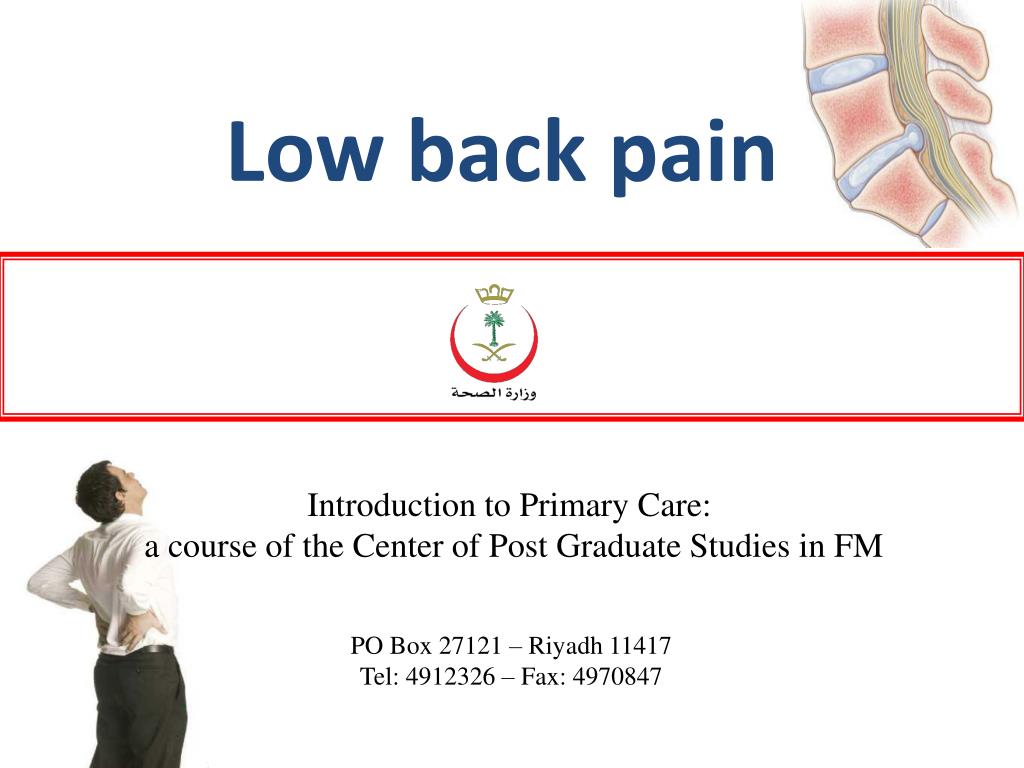 PPT - Low back pain PowerPoint Presentation, free download - ID:2628984