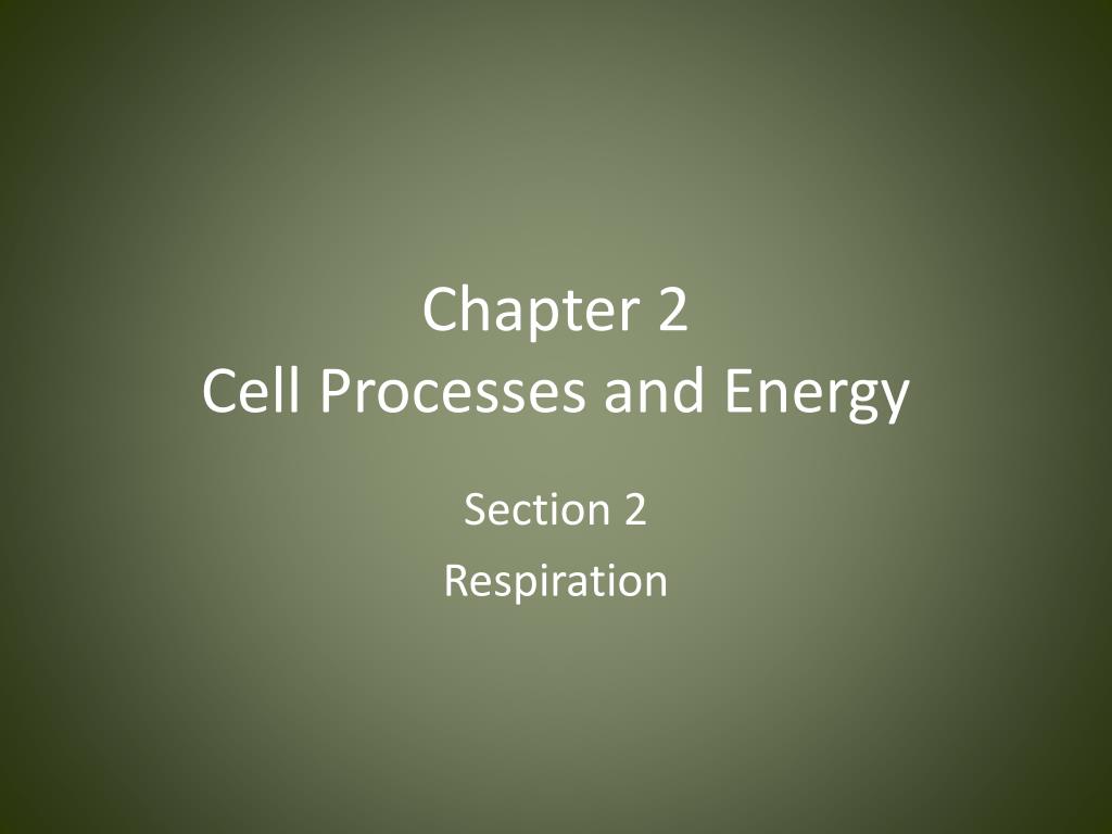 PPT - Chapter 2 Cell Processes and Energy PowerPoint Presentation, free ...