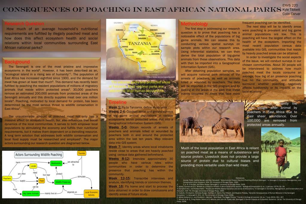 PPT - Impact of Poaching on Nutritional Needs and Ecosystem Health in ...