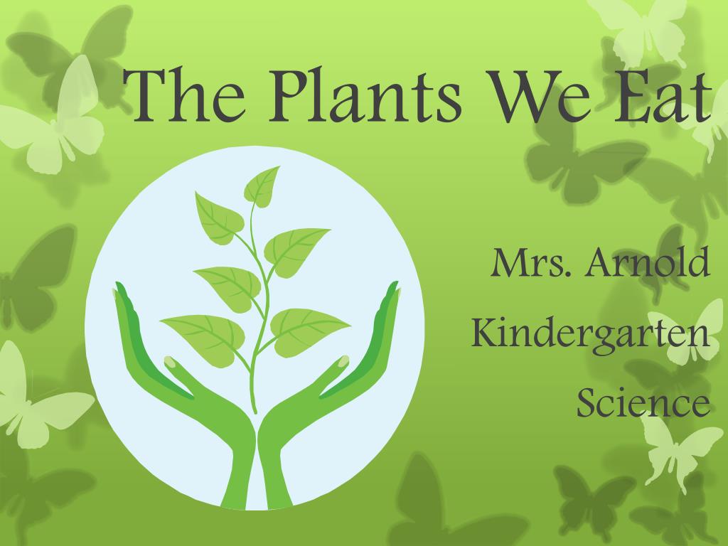 PPT - The Plants We Eat PowerPoint Presentation, free download - ID:2634104