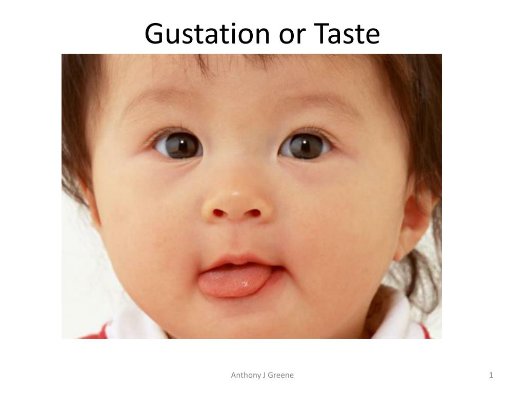 PPT - Gustation or Taste PowerPoint Presentation, free download - ID ...