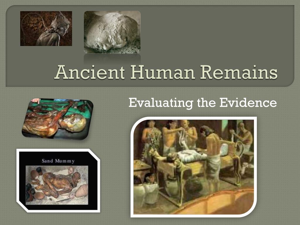 PPT - Ancient Human Remains PowerPoint Presentation, free download - ID ...