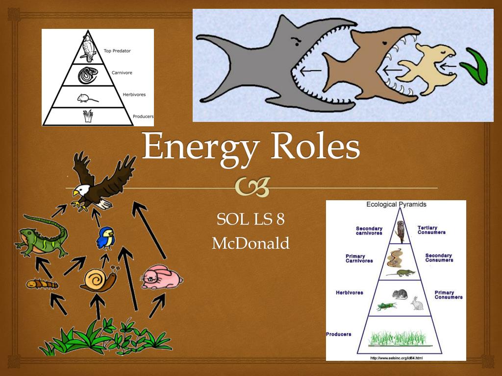PPT - Energy Roles PowerPoint Presentation, free download - ID:2638153