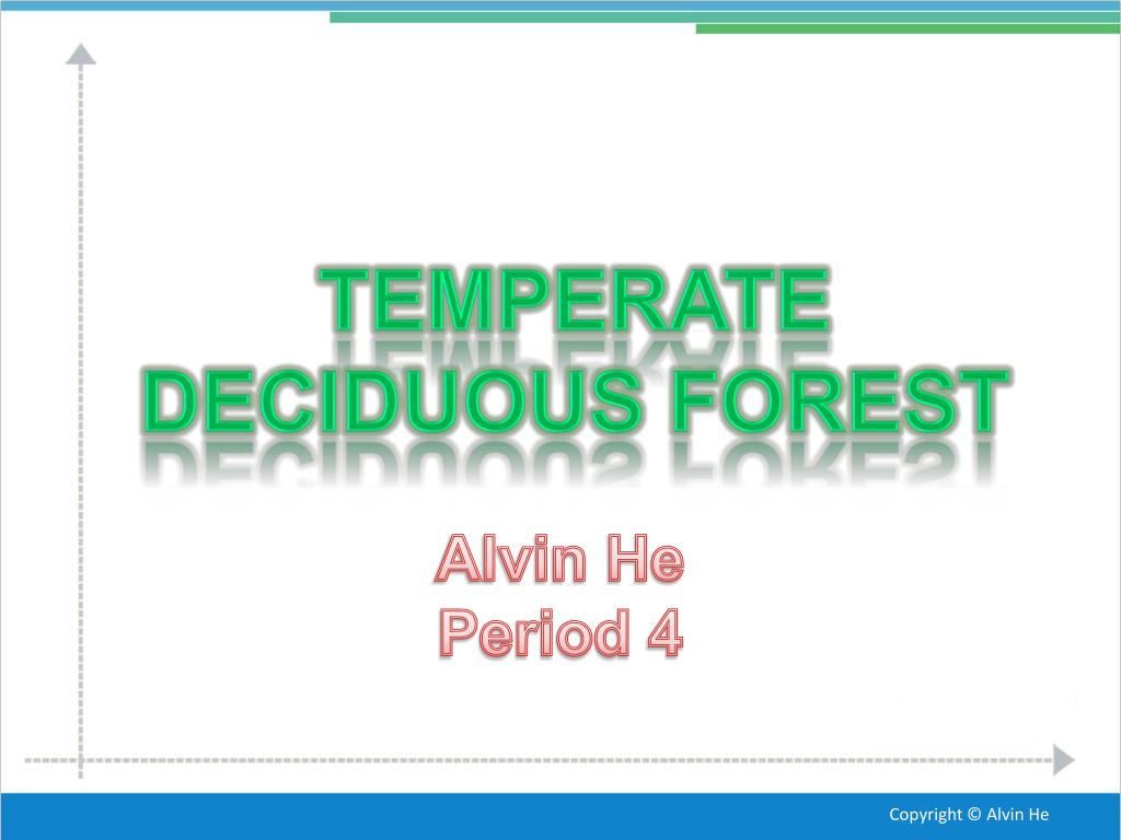PPT - Temperate Deciduous Forest PowerPoint Presentation, free download ...