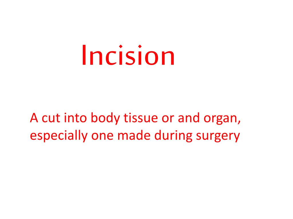 PPT - Incision PowerPoint Presentation, free download - ID:2638888