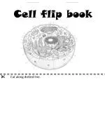 PPT - Mitosis Flip Book PowerPoint Presentation, free download - ID:2802483