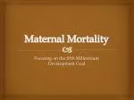 PPT - Maternal Mortality PowerPoint Presentation, free download - ID ...