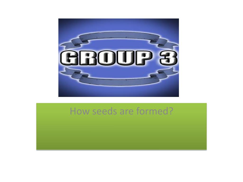 PPT - How seeds are formed? PowerPoint Presentation, free download - ID ...