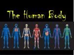 PPT - job of the future “Human Glue” PowerPoint Presentation, free ...